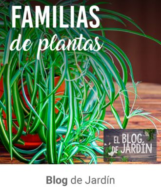 Easy.cl - Vivamos mejor - Todo en un click