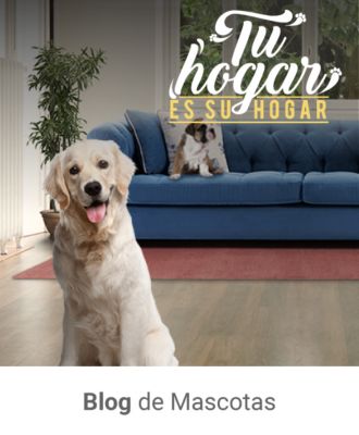 Easy.cl - Todo para el mejoramiento de tu hogar